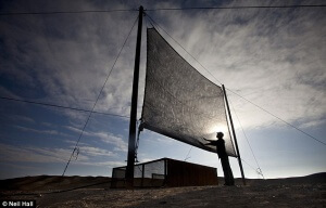 Diversity in Biomimetics - How it can inspire sustainable living ...